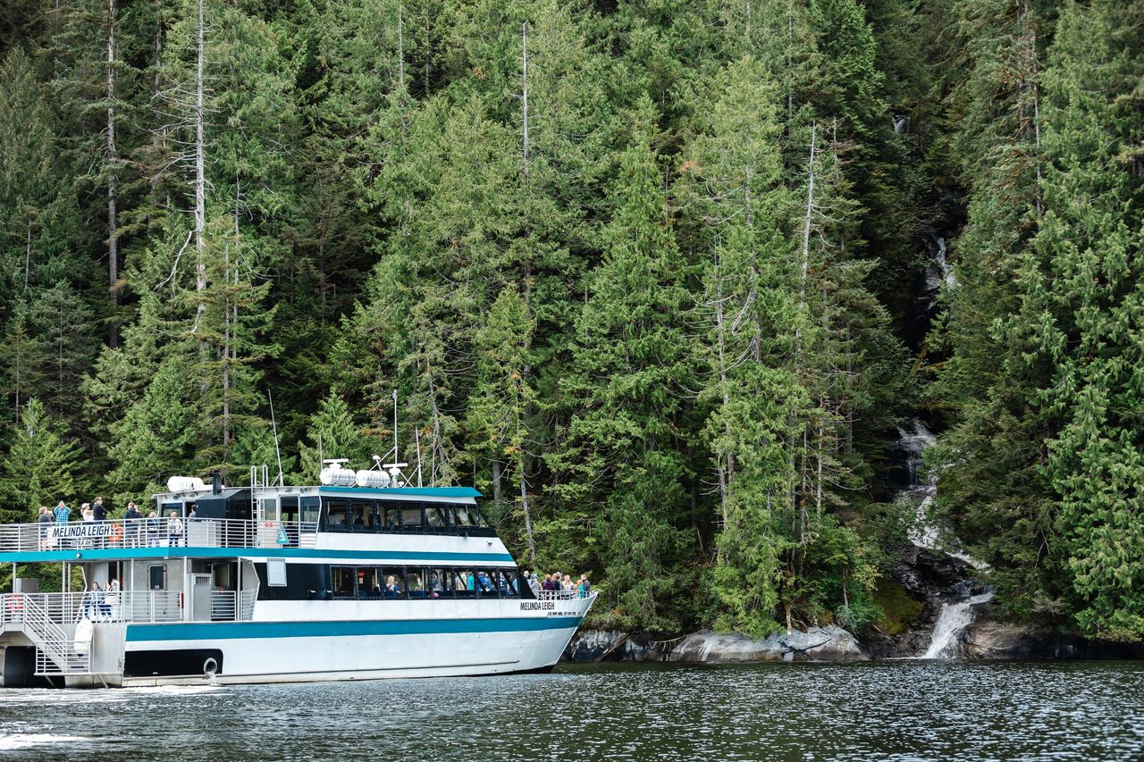 Misty Fjords National Monument & Wilderness Exploration - Allen Marine ...