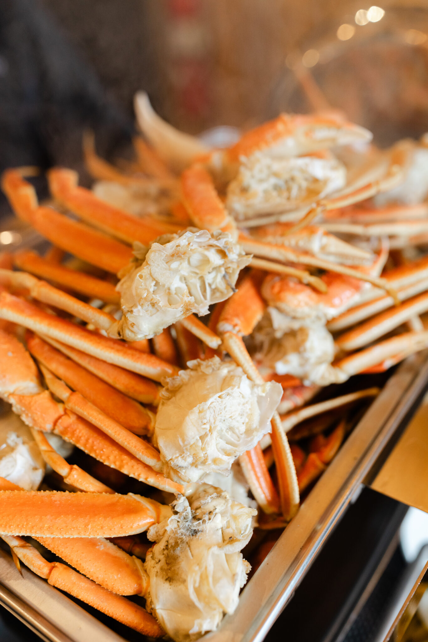 Wildlife Quest & Fin Island Lodge - Allen Marine Tours