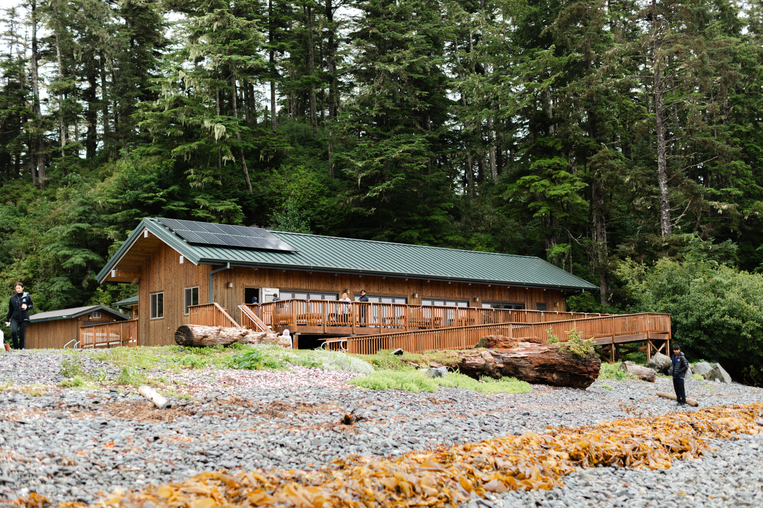 Wildlife Quest & Fin Island Lodge - Allen Marine Tours